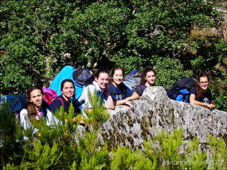 Guías Mayores y Rovers